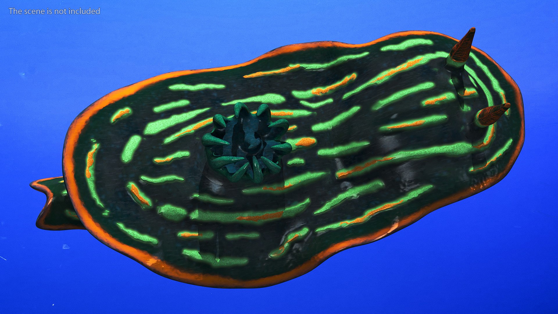 Dusky Nembrotha 3D Model - TurboSquid 2185742