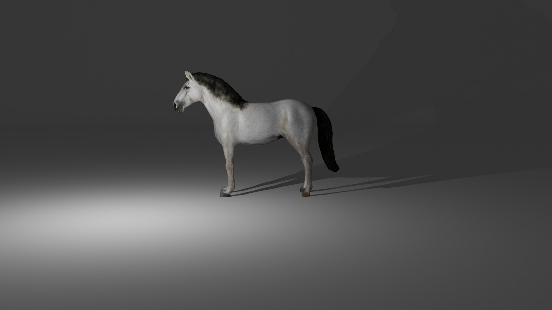 Rigged And Animated White Horse 3D Model - TurboSquid 2332883