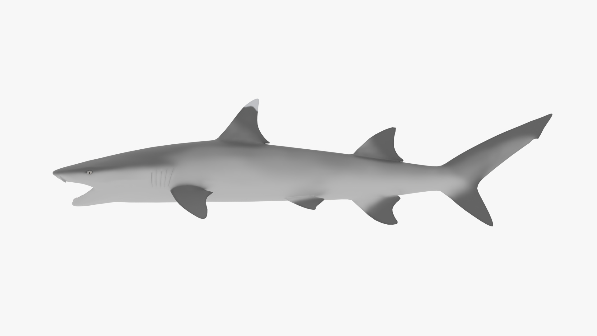 3D Model White Tip Reef Shark - TurboSquid 2283639