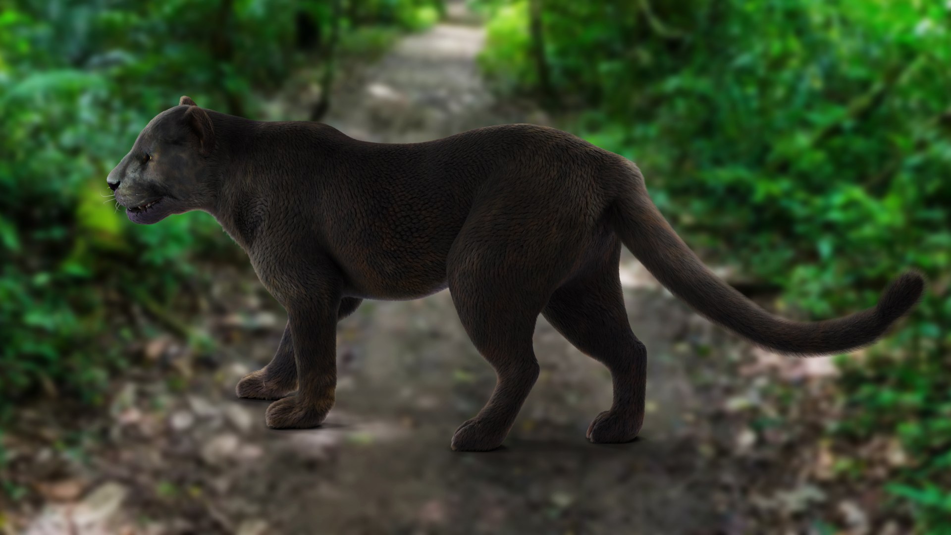 Fur Black Panther Rigged And Animation In Blender Model - TurboSquid ...