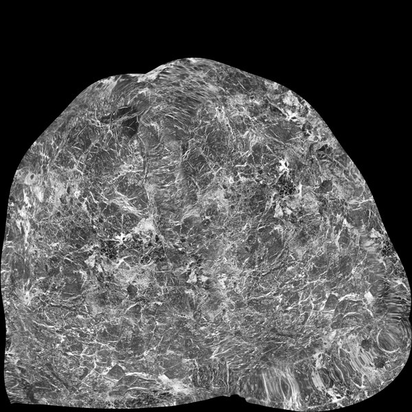 ancient prehistoric stone axe 3d c4d