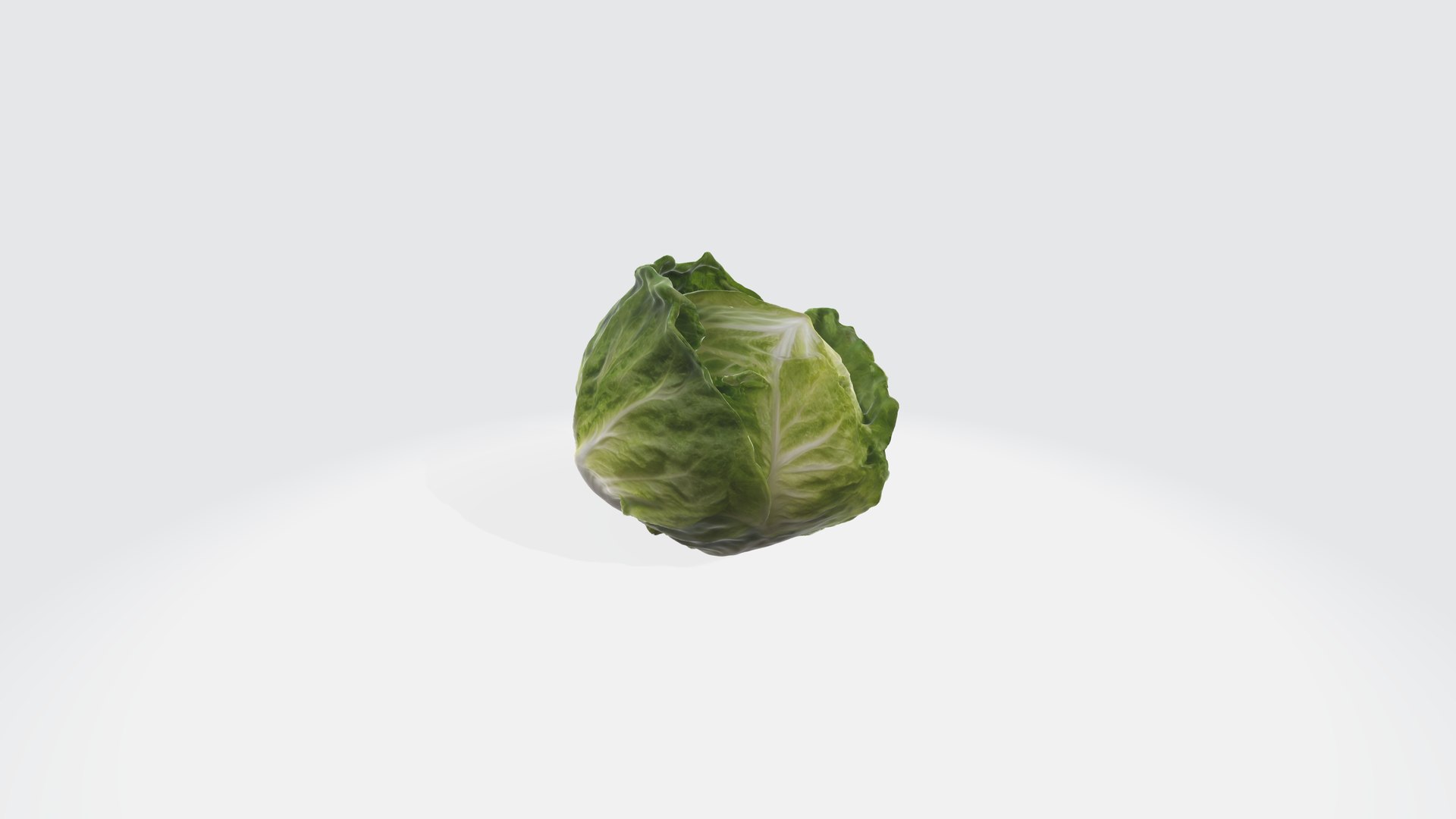 Lettuce Model - TurboSquid 2281601