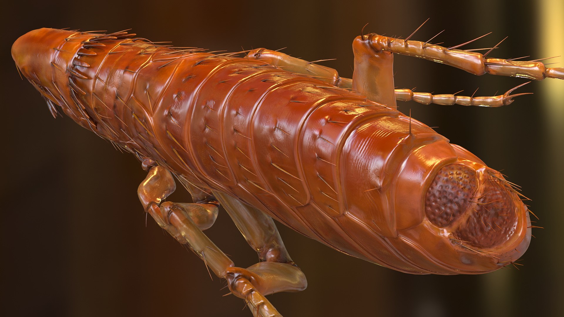 Flea standing pose model - TurboSquid 1583852