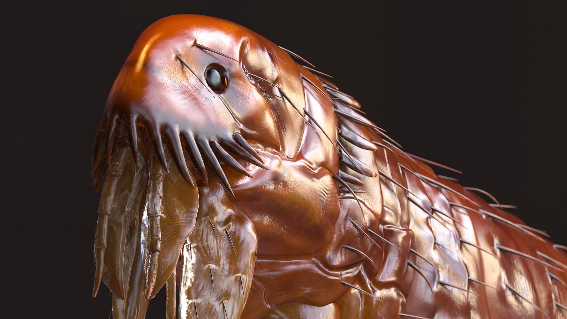 Flea Standing Pose Model - TurboSquid 1583852