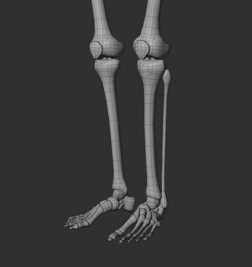 Human 3D Model - TurboSquid 1231294