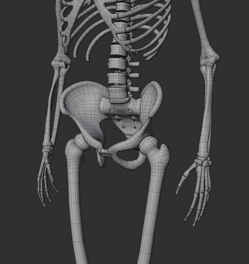 Human 3D Model - TurboSquid 1231294