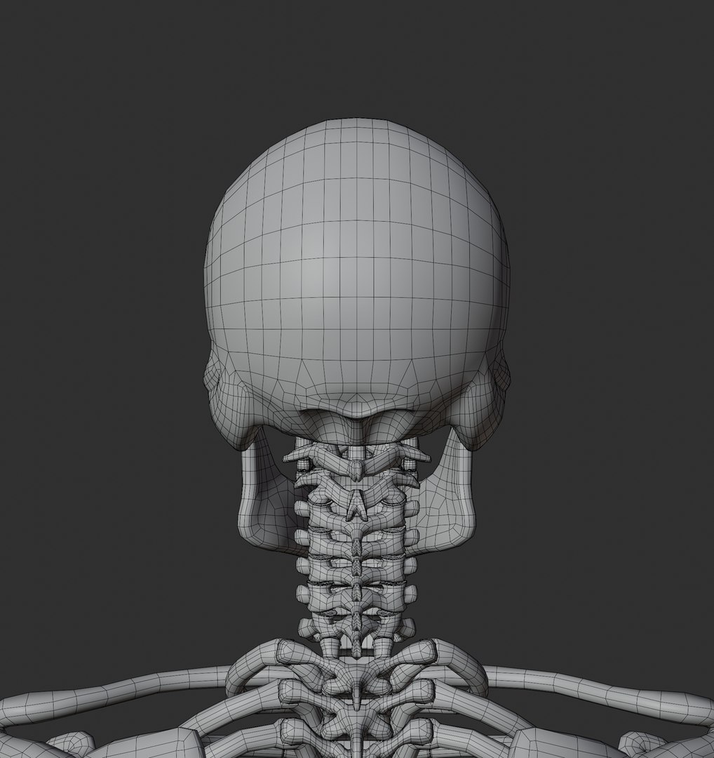 Human 3D Model - TurboSquid 1231294