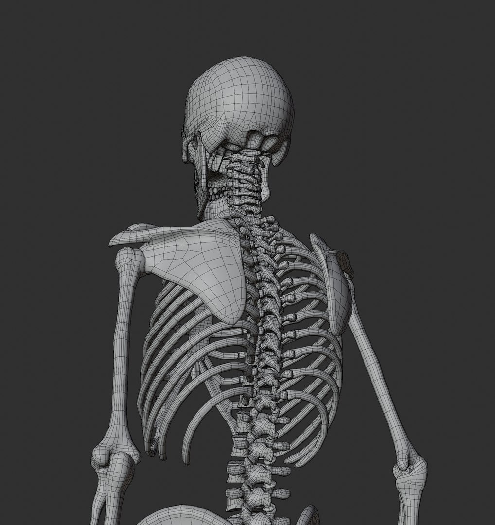 Human 3D Model - TurboSquid 1231294