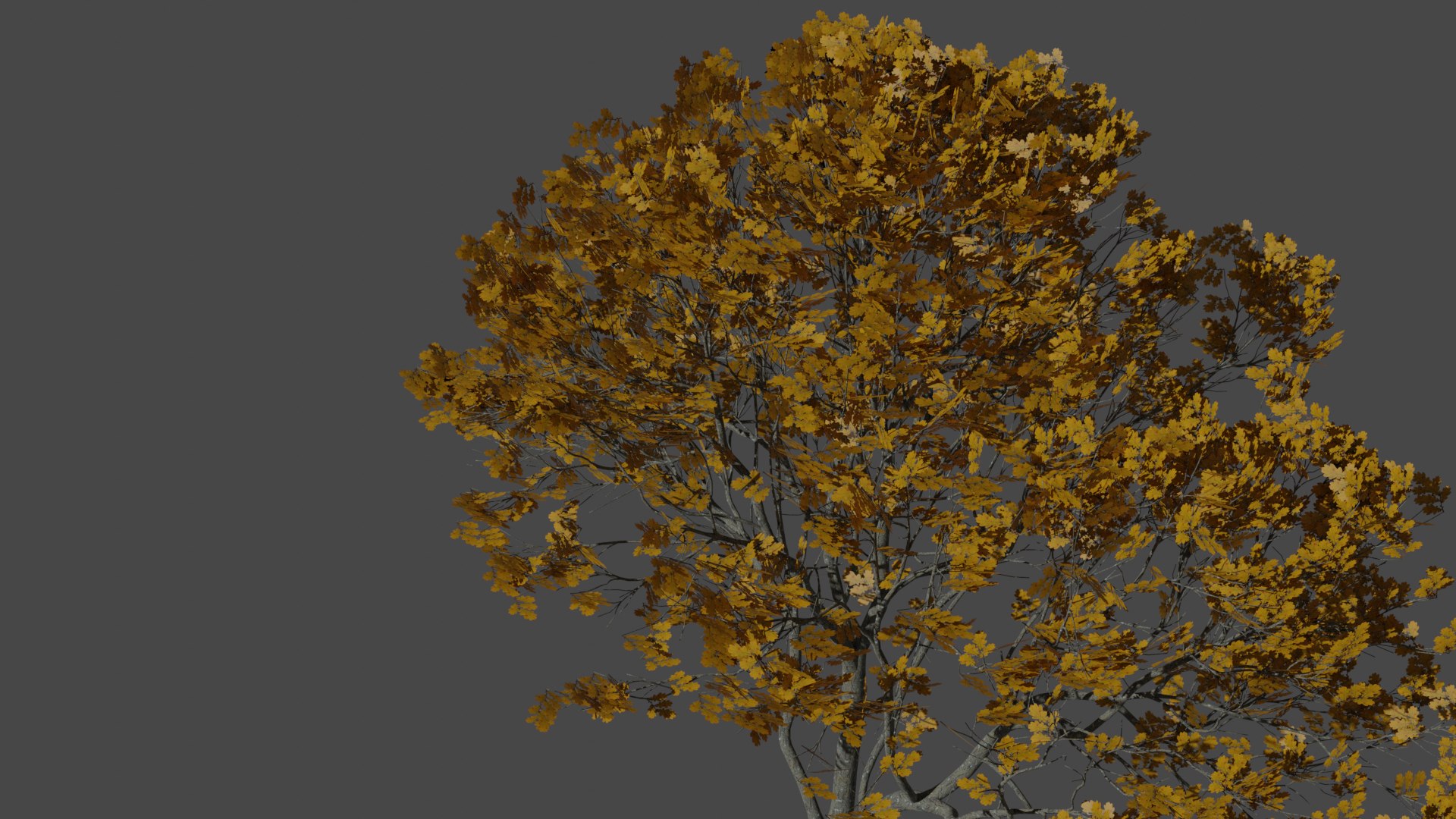 Free Tree Leaf 3D - TurboSquid 1614343
