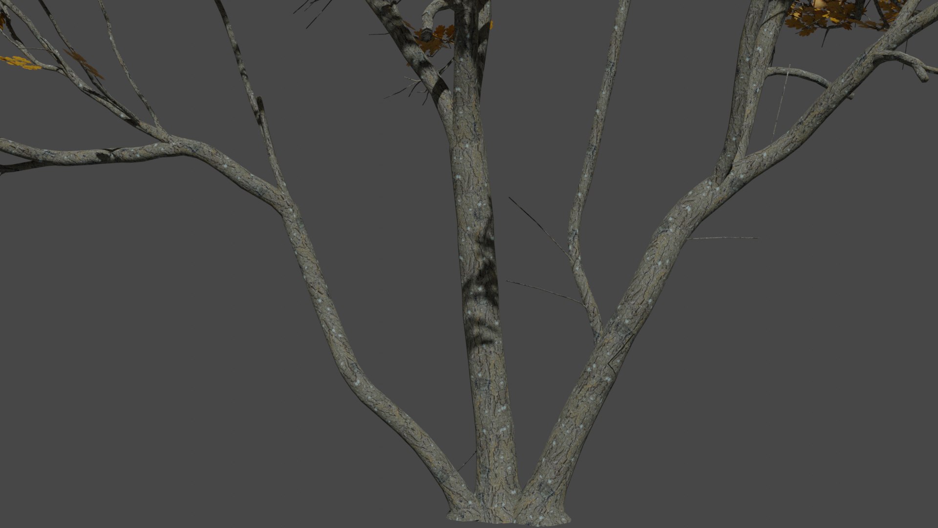 Free Tree Leaf 3D - TurboSquid 1614343