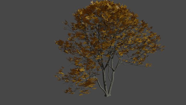 Free tree leaf 3D - TurboSquid 1614343