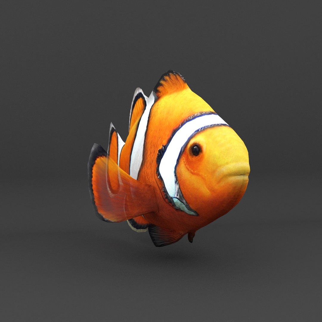 3d Fish Animation