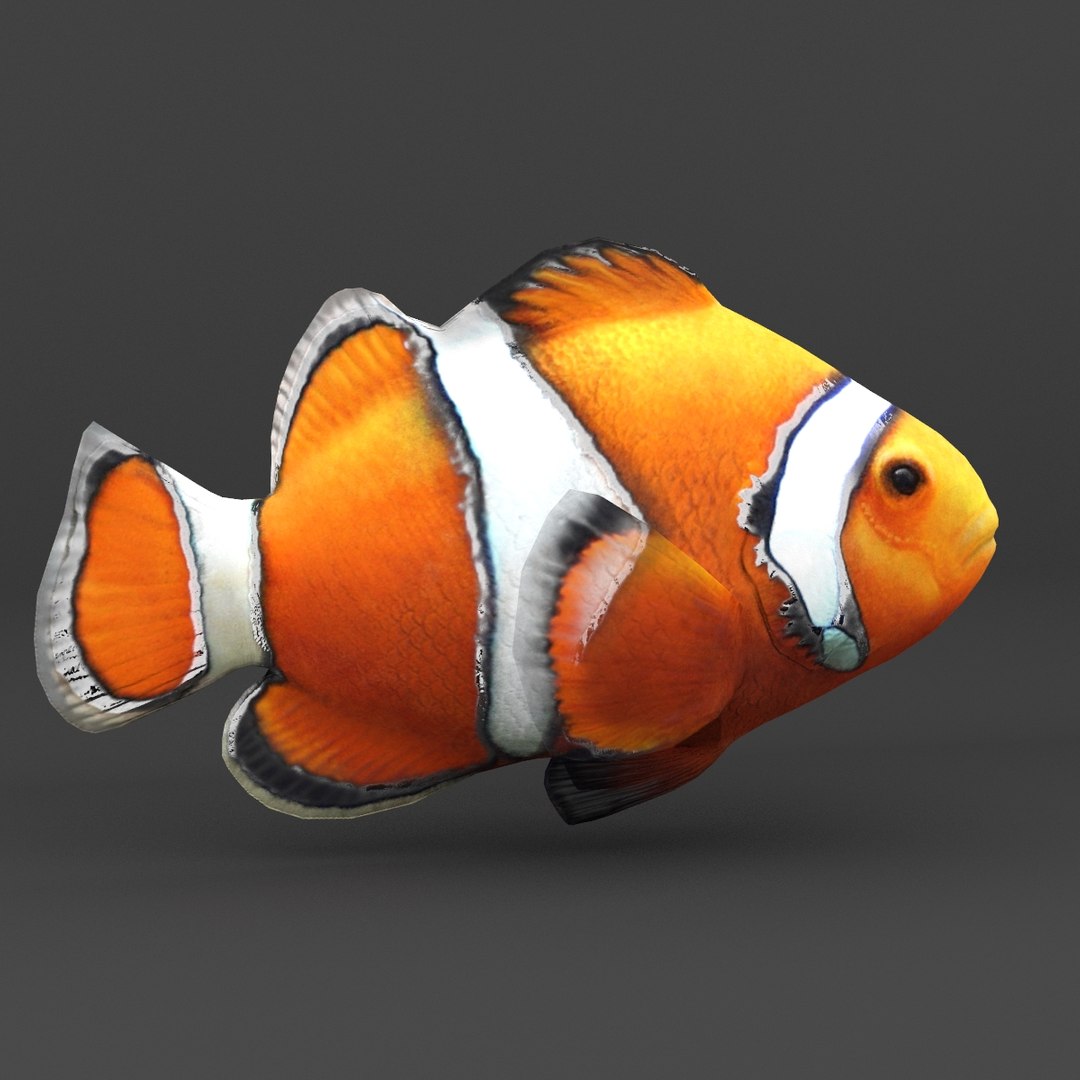 3d Fish Animation