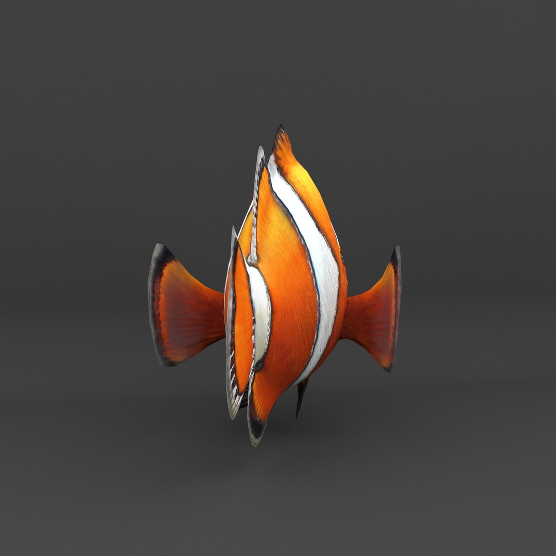 3d Fish Animation