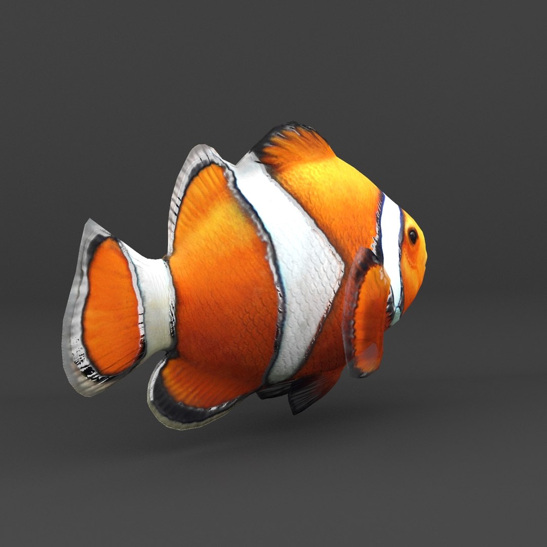 3d Fish Animation