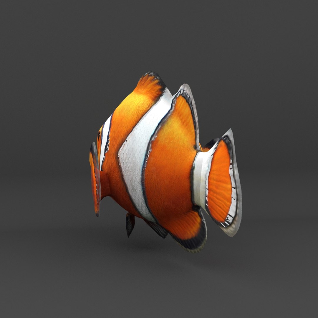 3d Fish Animation