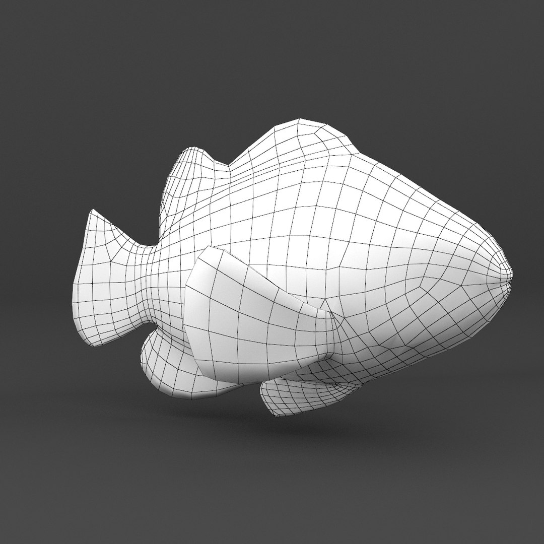 3d Fish Animation