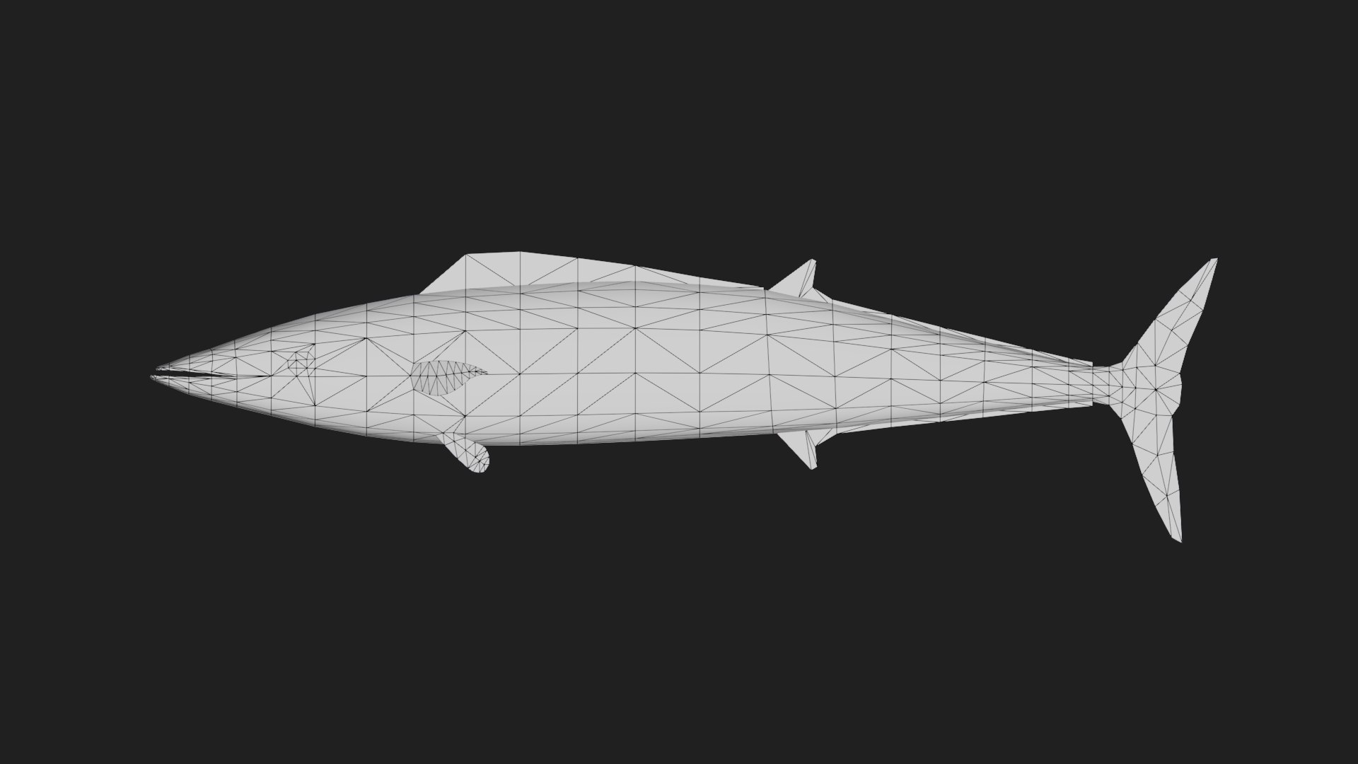 Wahoo 3D - TurboSquid 2121583