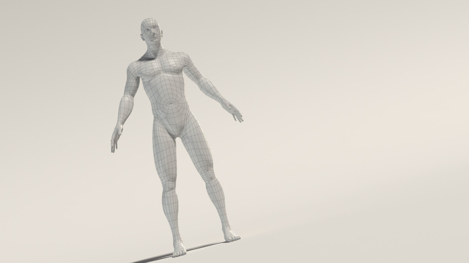 3D Base Mesh Man Muscle Model - TurboSquid 1550169