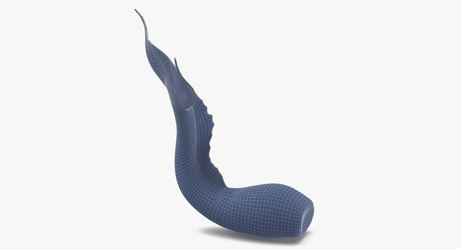 3D model mermaid tail 01 laying - TurboSquid 1243368