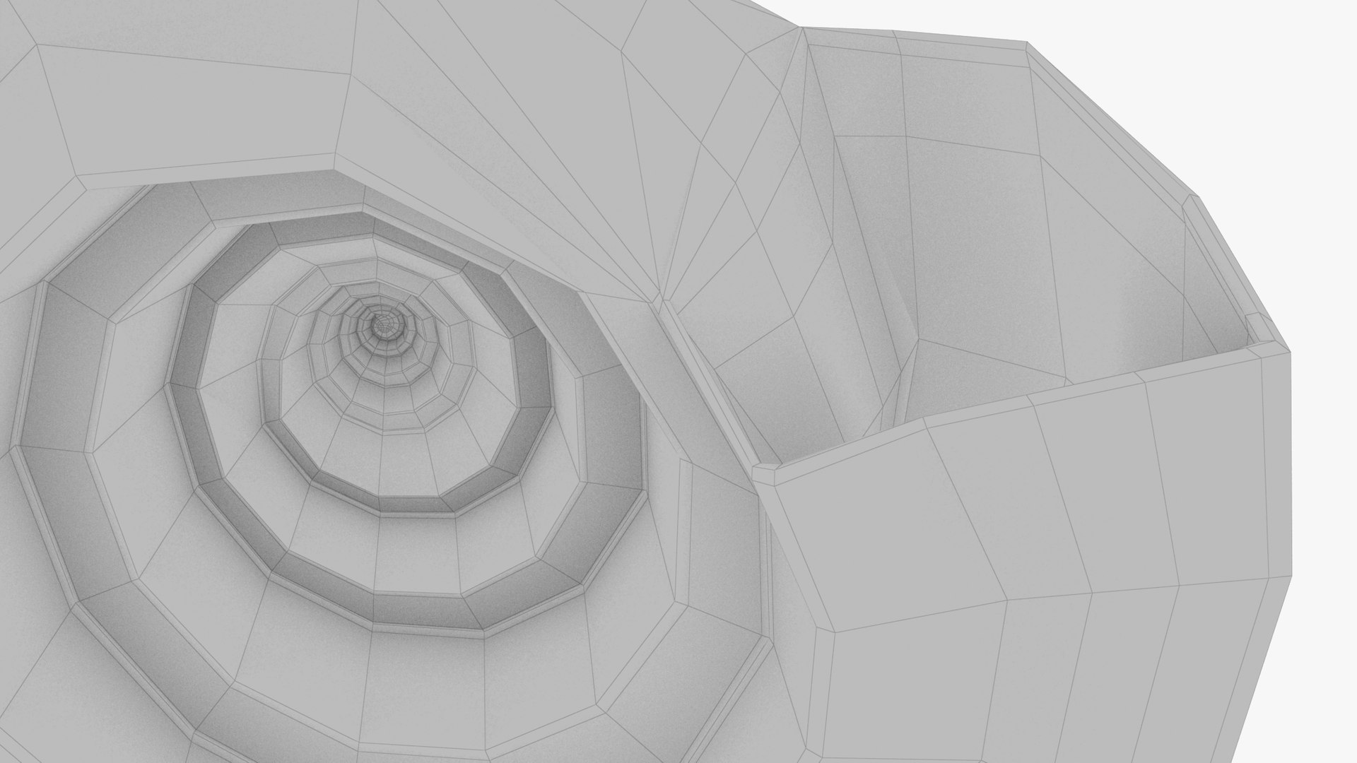 Seashell Sea Shell 3D Model - TurboSquid 1625589