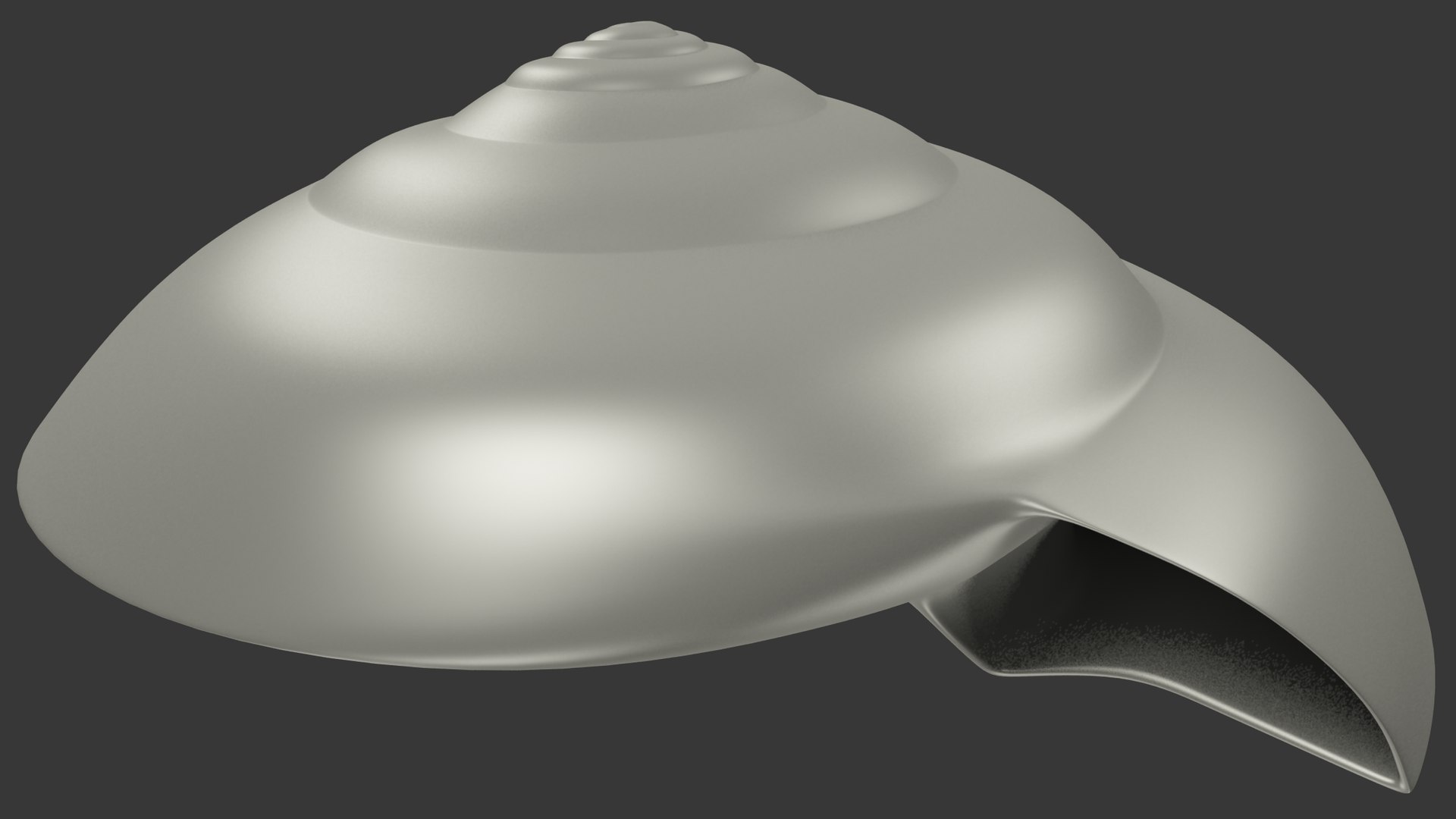 Seashell Sea Shell 3D Model - TurboSquid 1625589