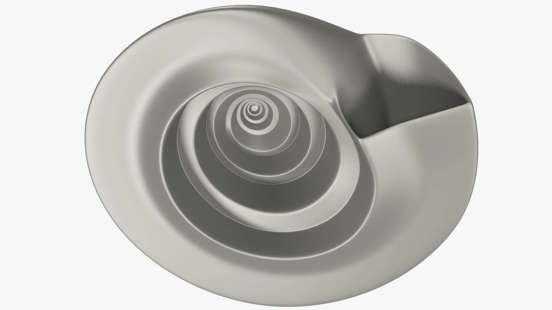 Seashell Sea Shell 3D Model - TurboSquid 1625589