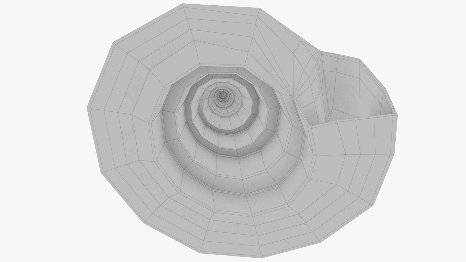 Seashell Sea Shell 3D Model - TurboSquid 1625589