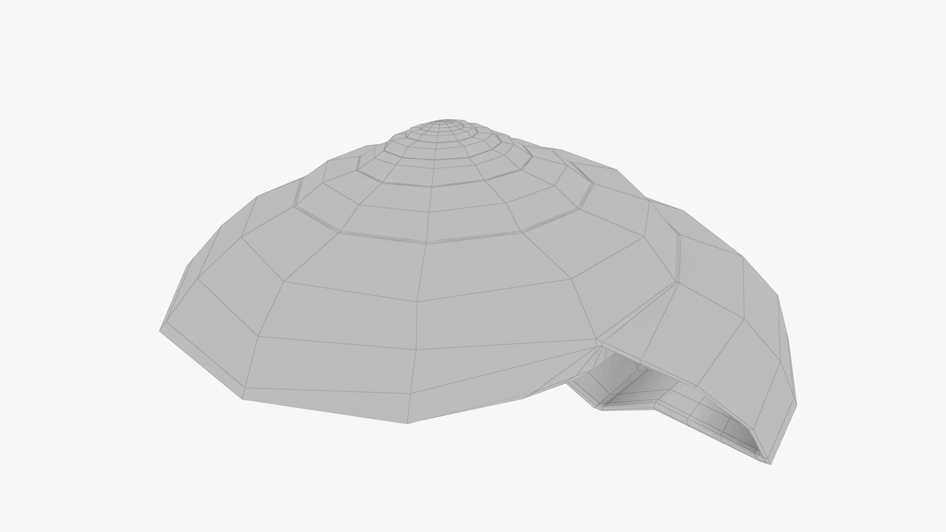 Seashell Sea Shell 3D Model - TurboSquid 1625589