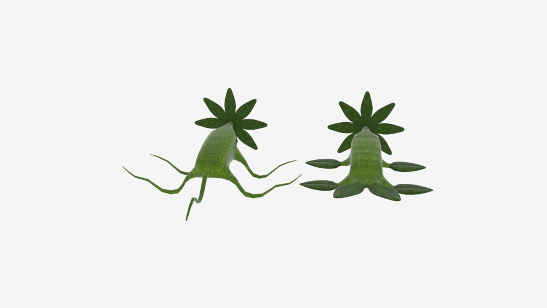 Crawling Monster Flower 3d 3ds