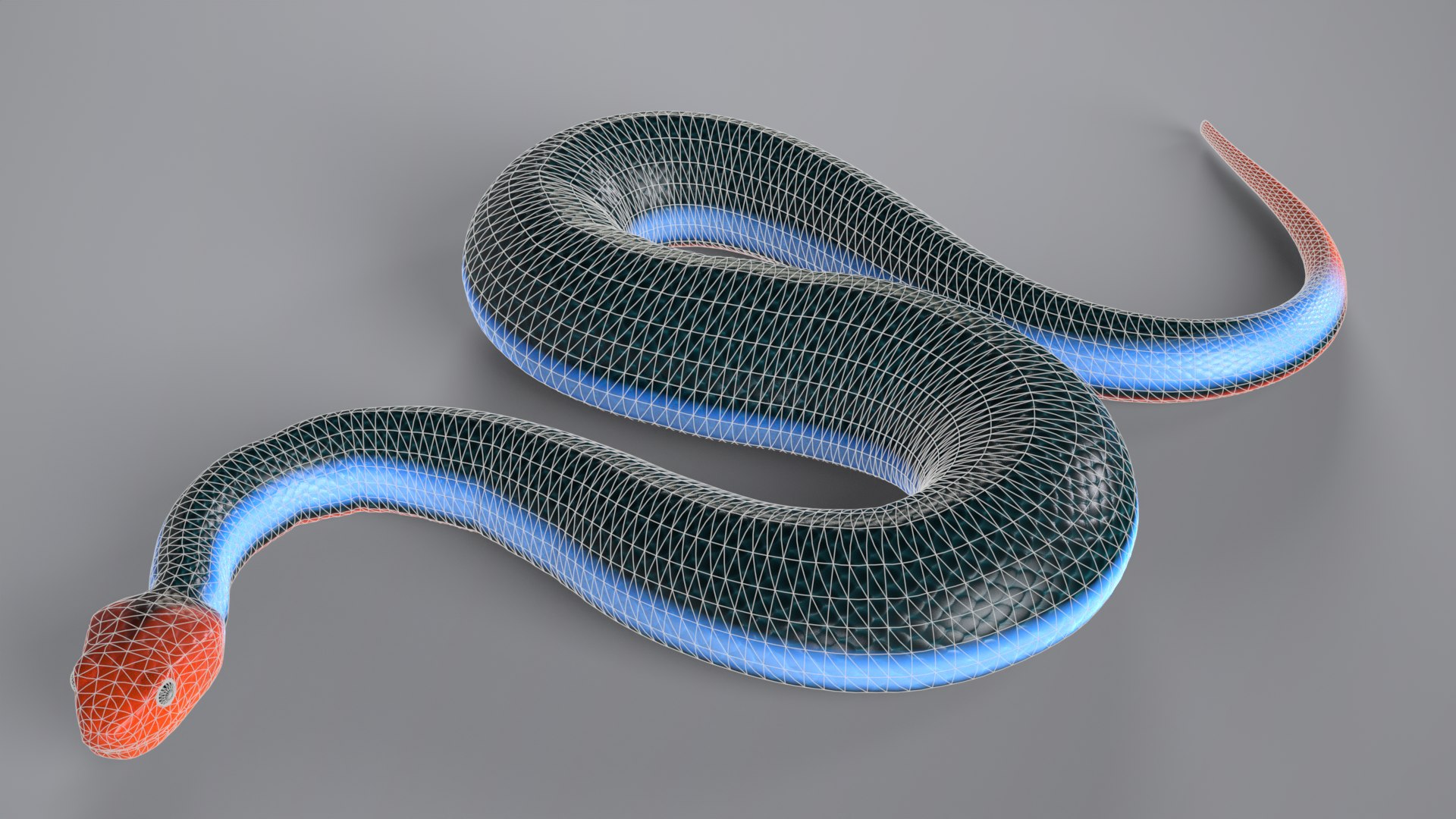 Snake Set Animated Rigged 8 Colour Variations Pack Collection Low Poly ...