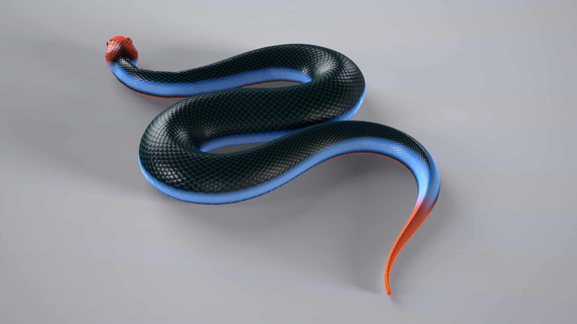 Snake Set Animated Rigged 8 Colour Variations Pack Collection Low Poly ...