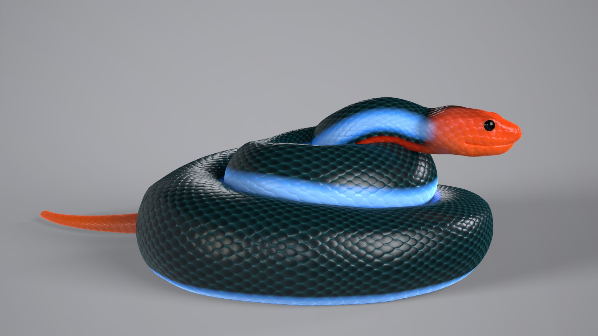 Snake Set Animated Rigged 8 Colour Variations Pack Collection Low Poly ...