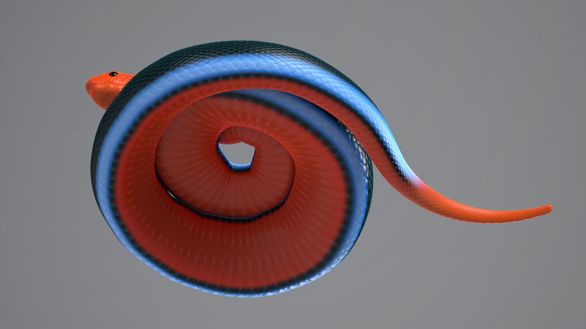 Snake Set Animated Rigged 8 Colour Variations Pack Collection Low Poly ...