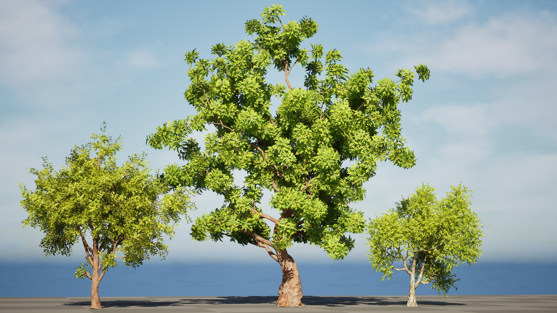 Realistic Neem Tree 3D Model 3D - TurboSquid 2286948