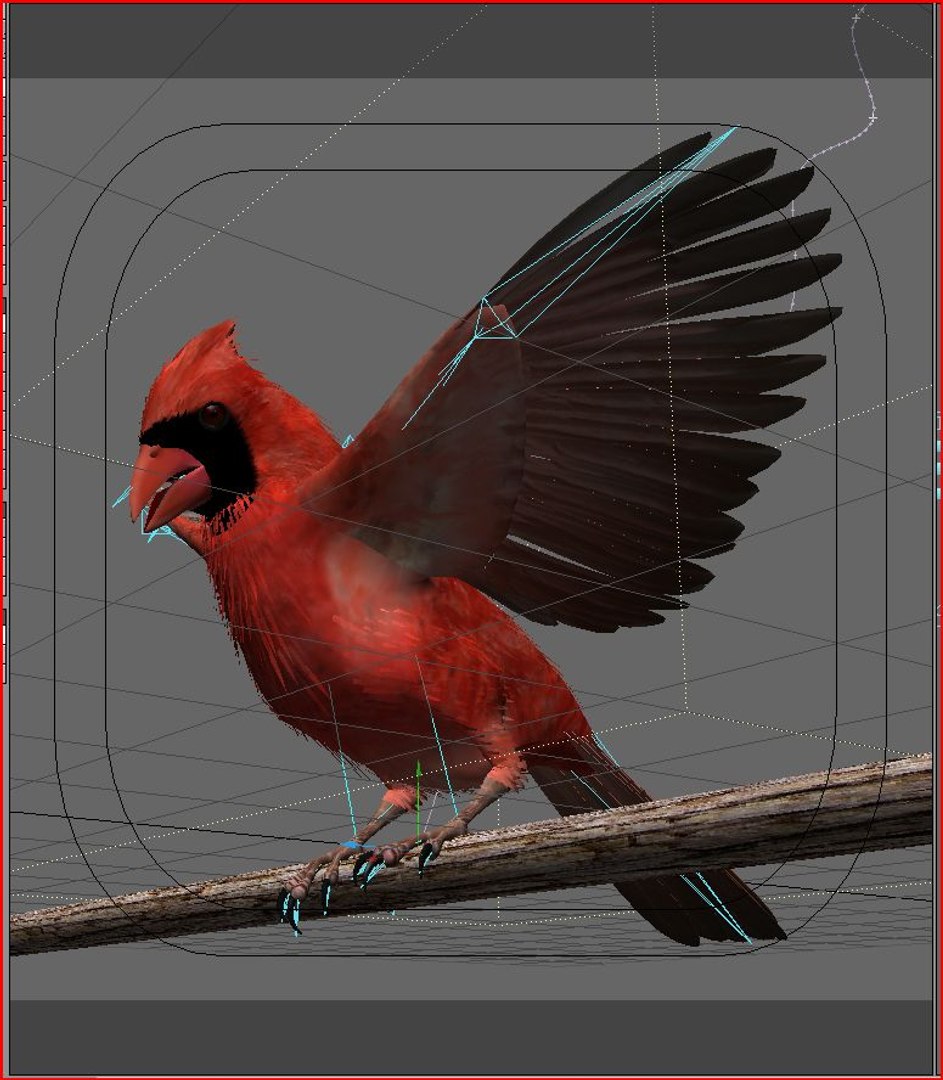 Cardinal Bird Flight Lightwave Male 3d Model