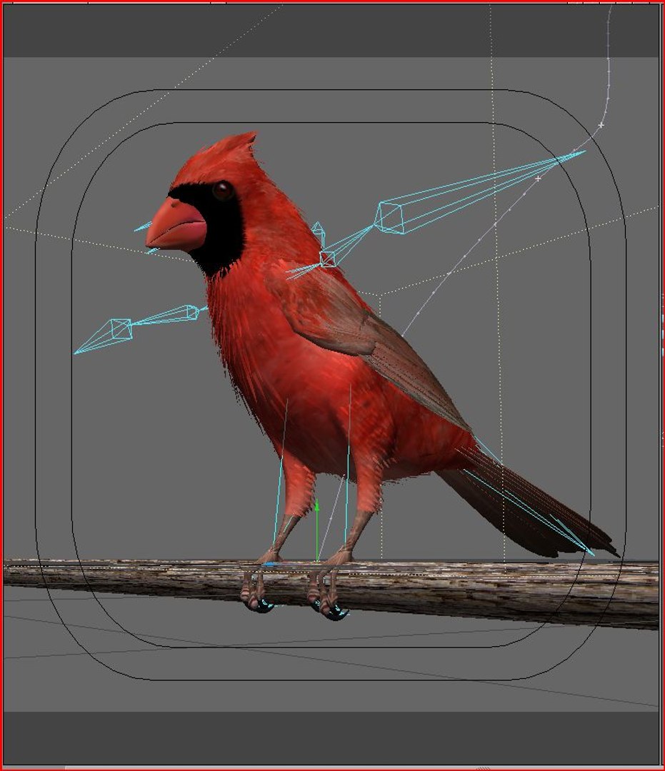 Cardinal Bird Flight Lightwave Male 3d Model