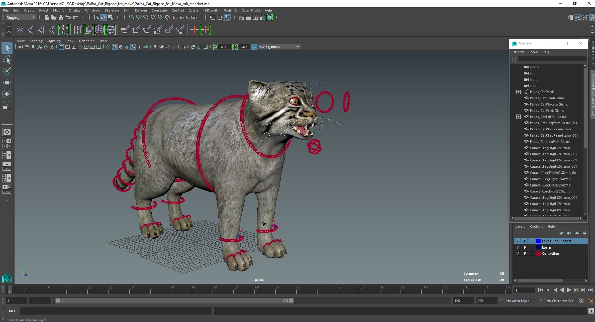 Pallas Cat Rigged For Maya 3D Model - TurboSquid 2221230