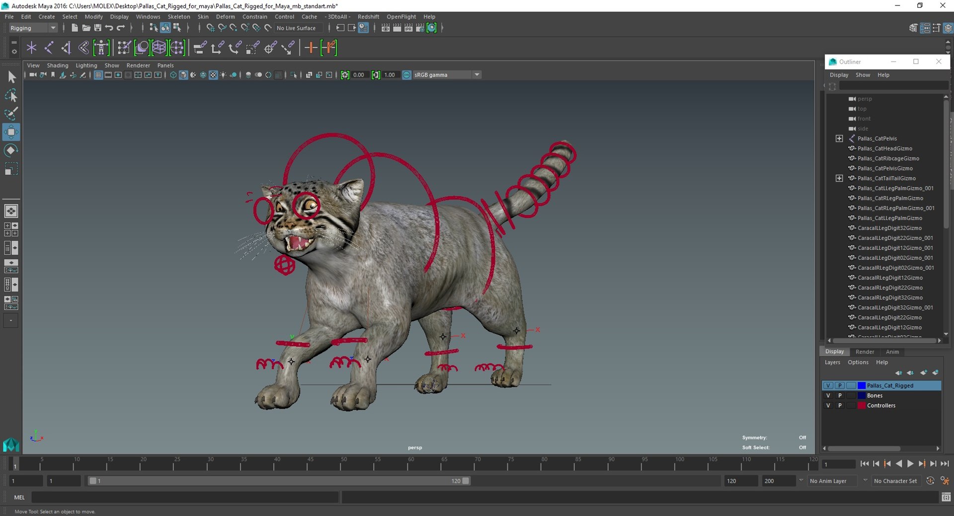 Pallas Cat Rigged For Maya 3D Model - TurboSquid 2221230