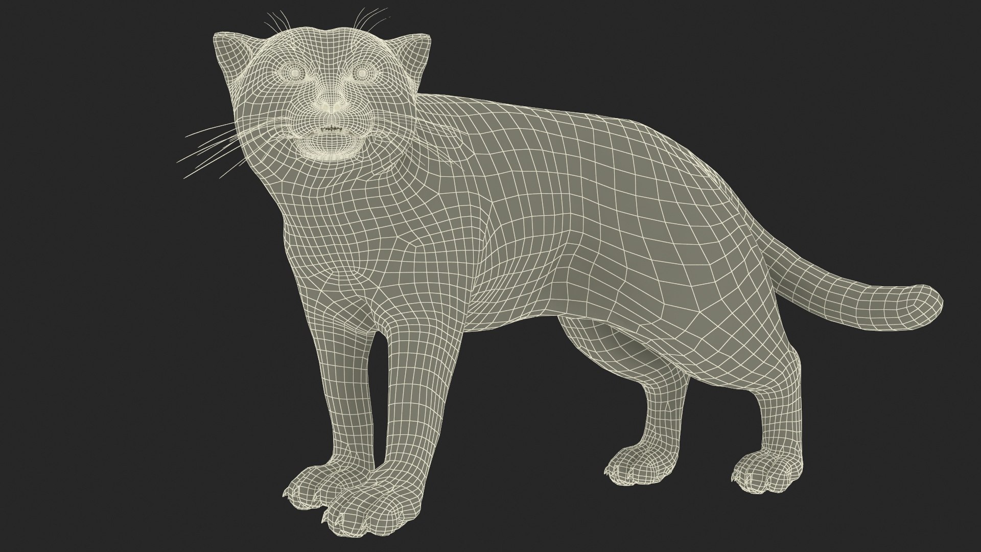 Pallas Cat Rigged For Maya 3D Model - TurboSquid 2221230