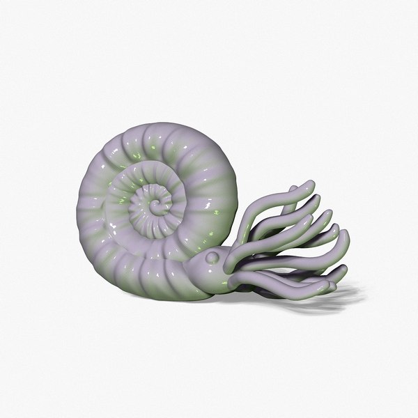 Nautilus snail 3D model - TurboSquid 2001829
