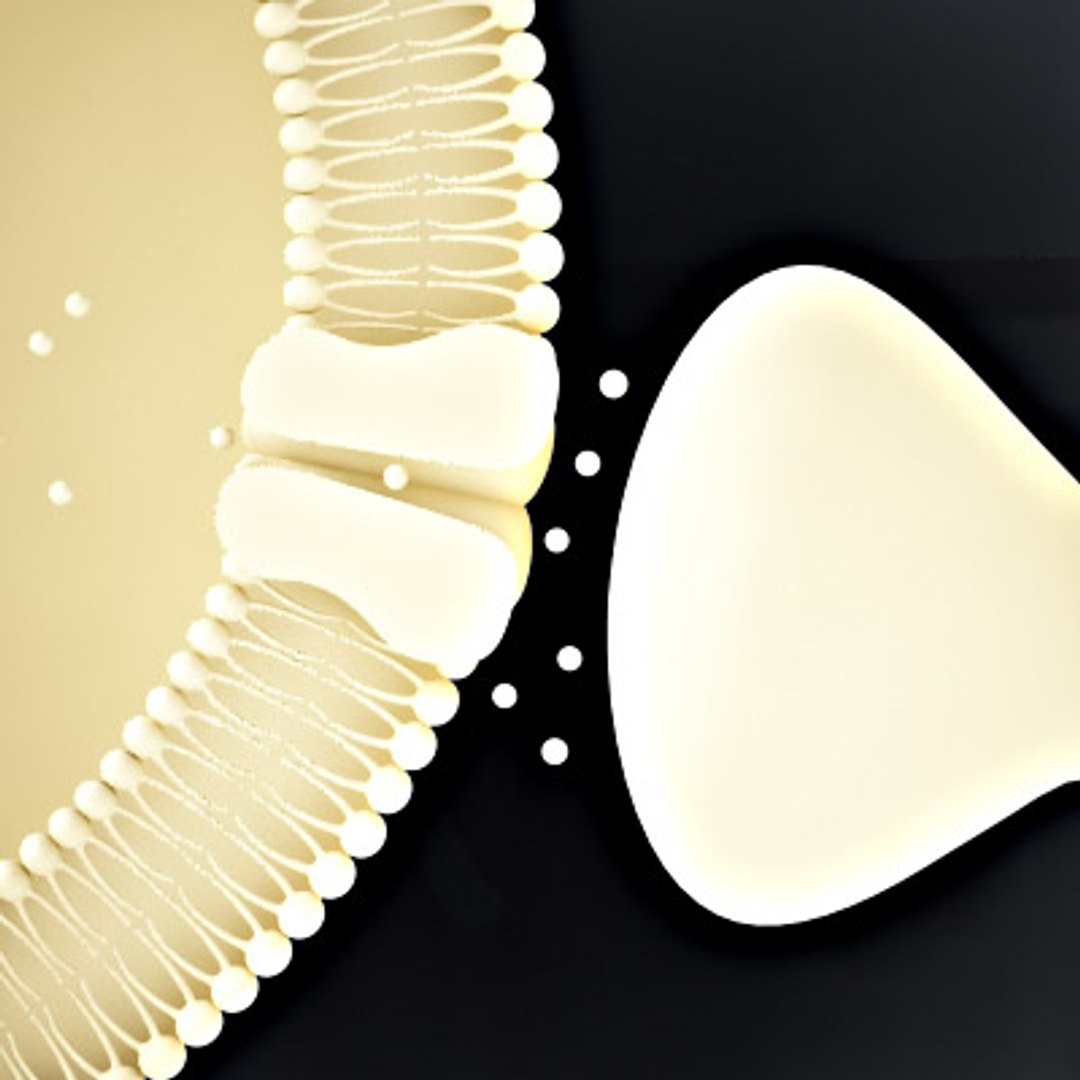 Synapse Neurons Cells 3d Max