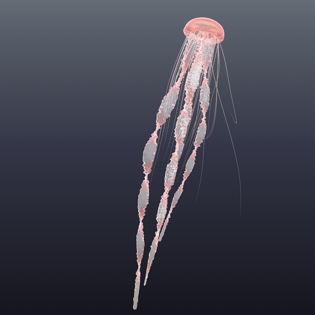 Realistic jellyfish model - TurboSquid 1453268