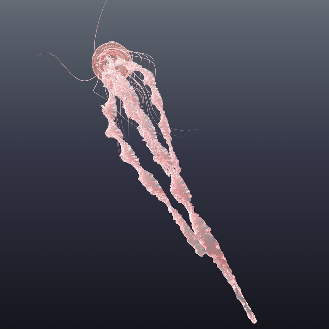 Realistic Jellyfish Model - TurboSquid 1453268