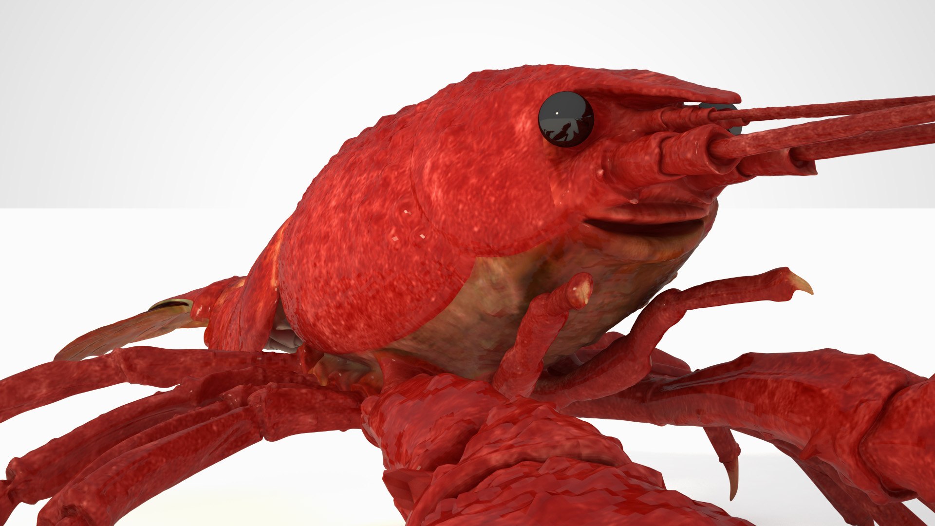 rigged crayfish 3d model