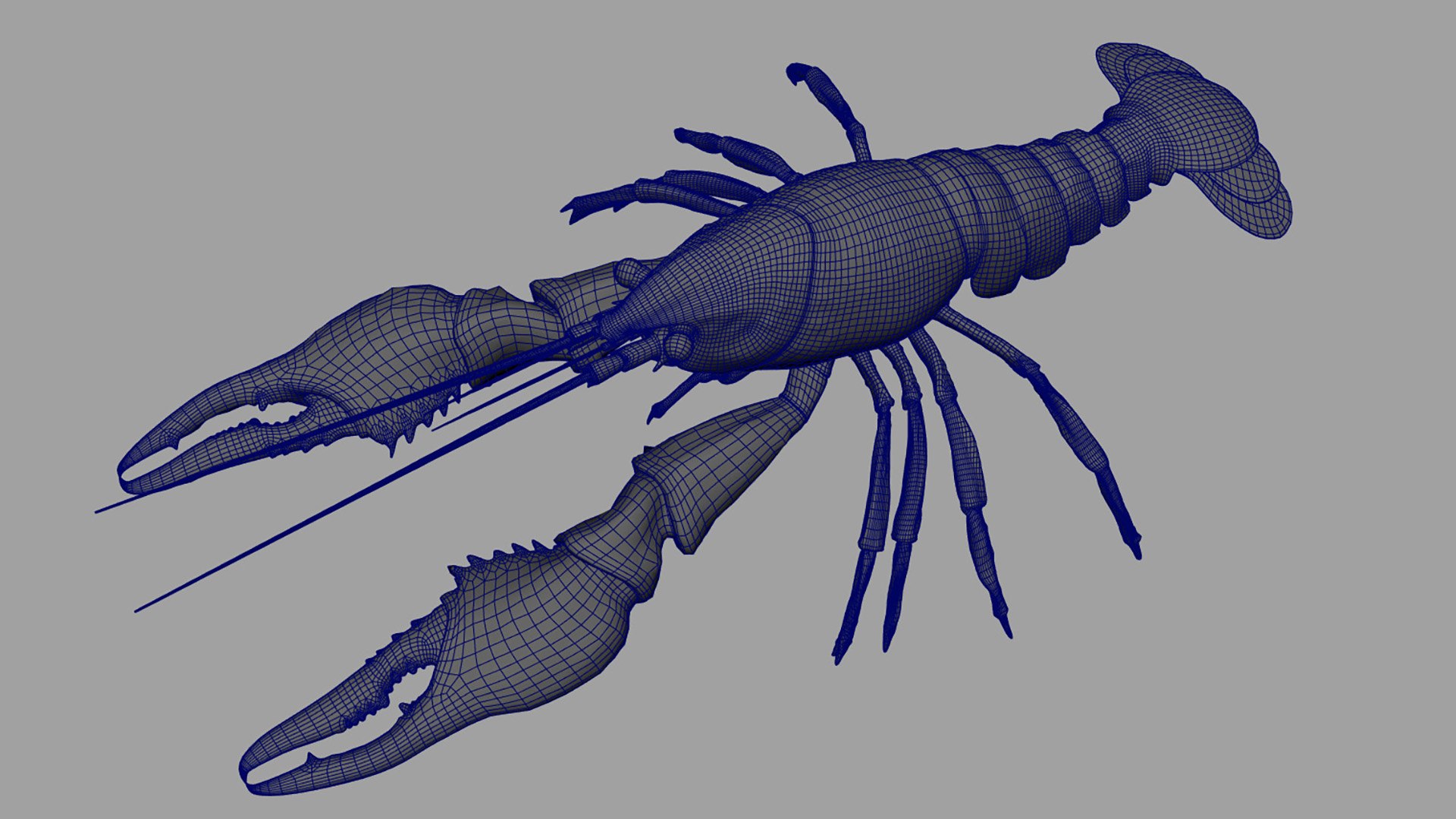 rigged crayfish 3d model