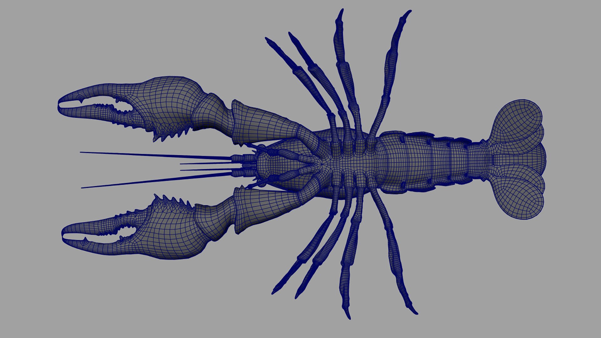rigged crayfish 3d model