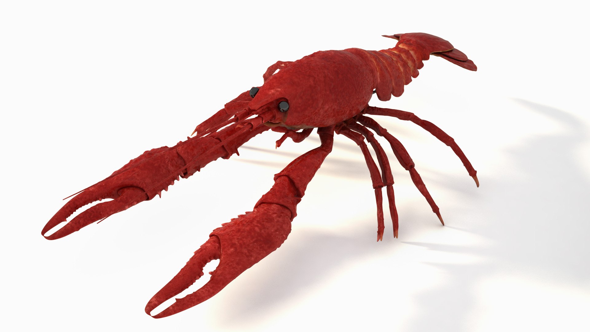 rigged crayfish 3d model