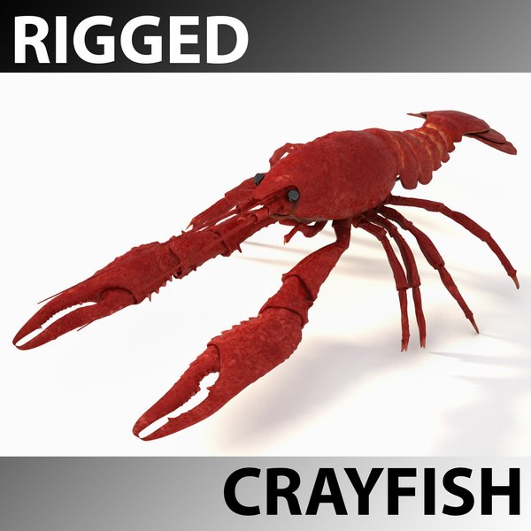 Crayfish 3D Models for Download | TurboSquid