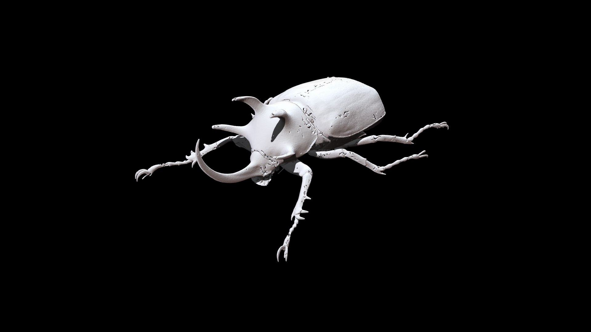 3D Beetle 01 CT Scan Model - TurboSquid 1744074
